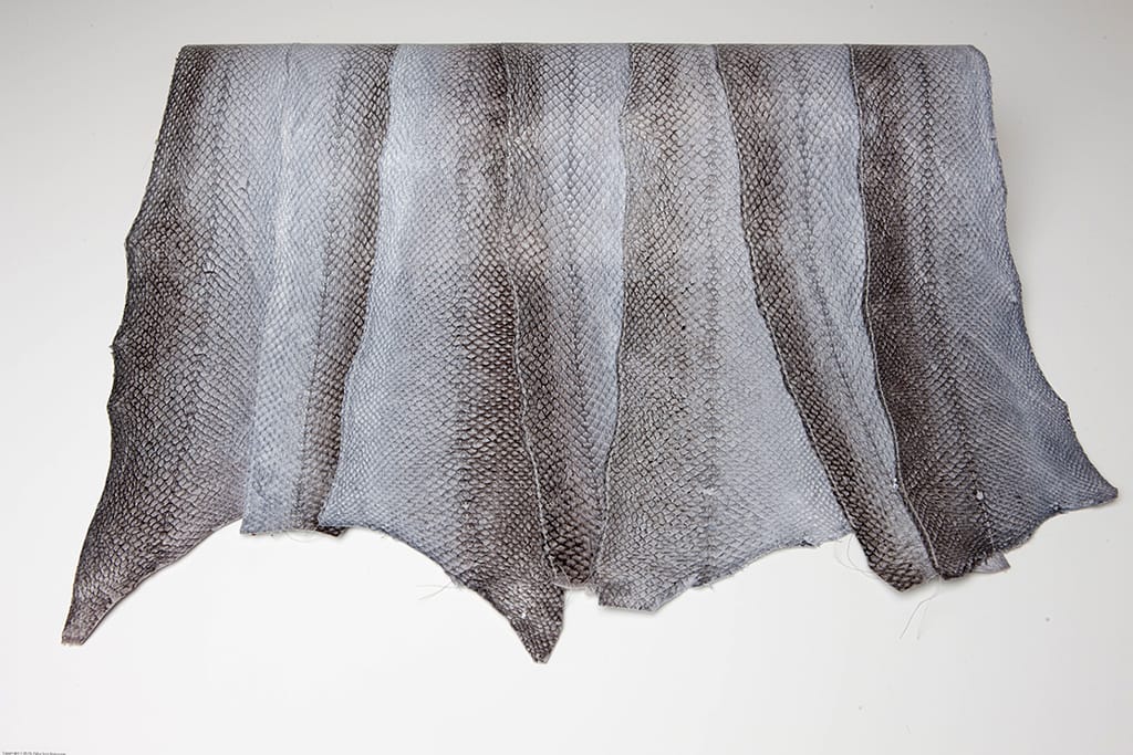 World of Fishleather - Dutch Design Daily